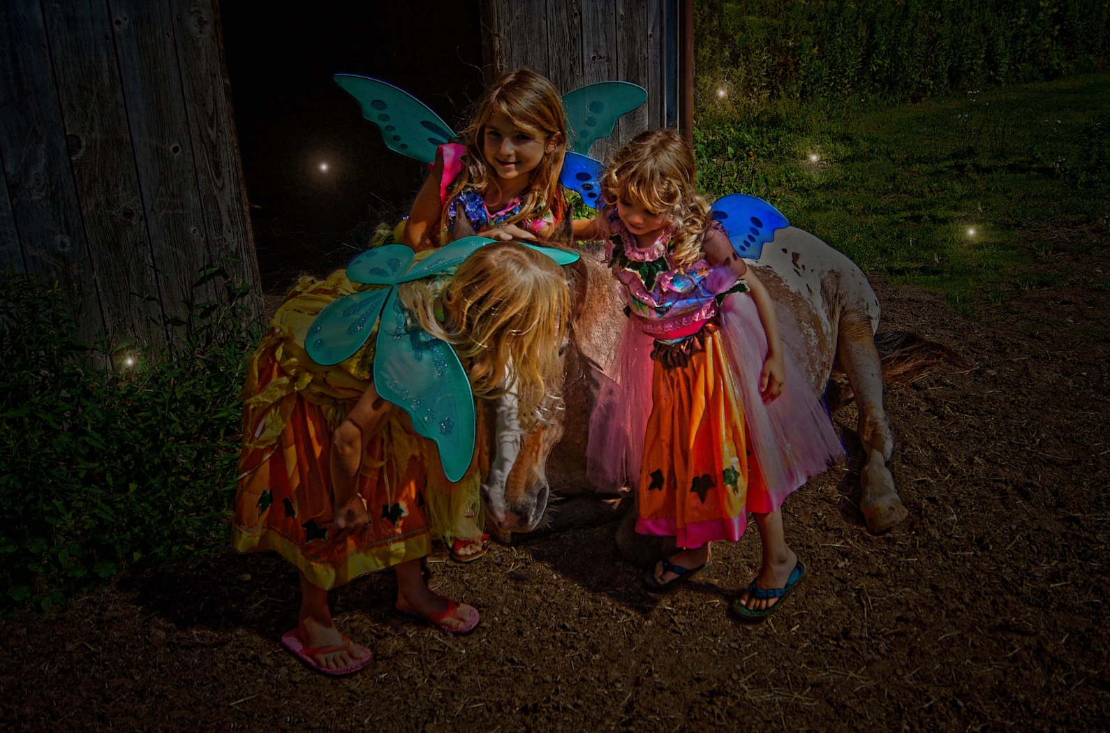 Home Place Fairies » Archives » Horse Fairies