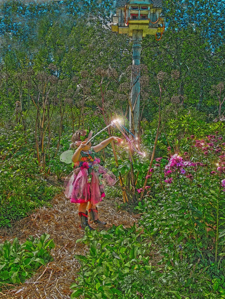 Home Place Fairies » Archives » Once Upon A Time in Fairyland